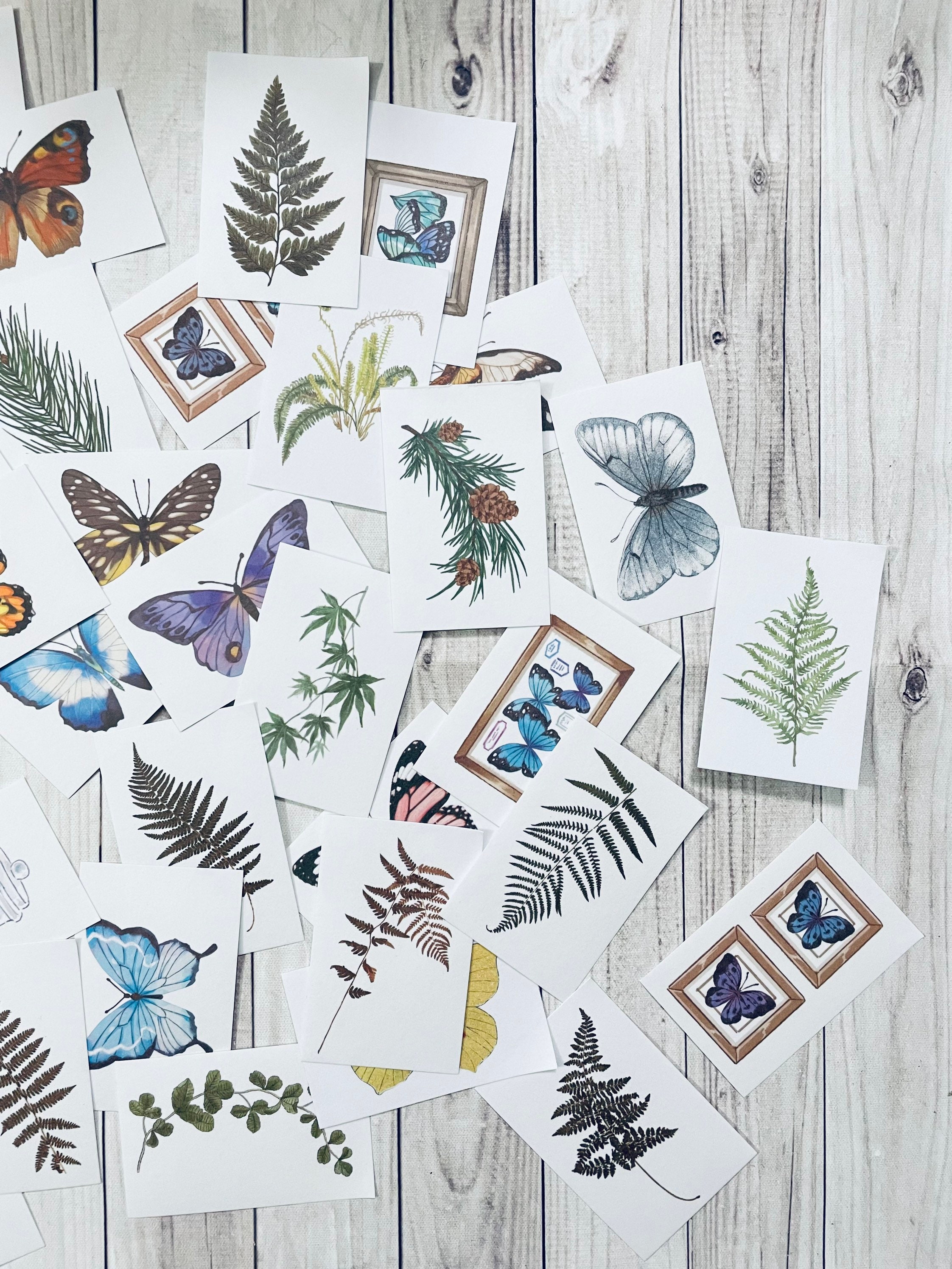 Papercraft Paper, Party & Kids Butterfly Insects Scrapbook Washi ...