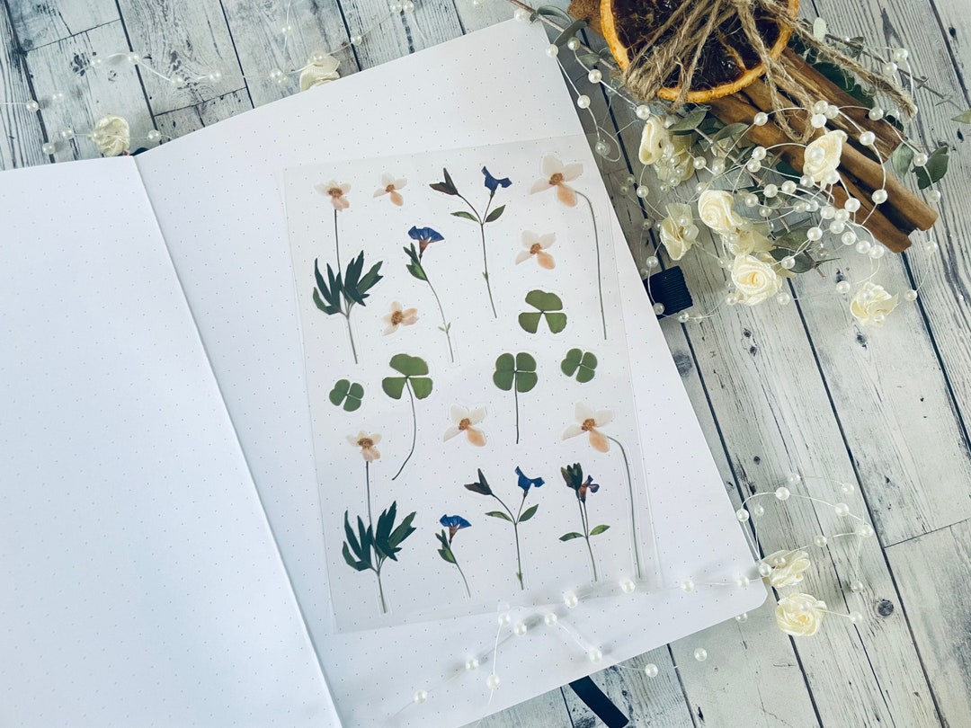 Fuax Dry Botanical Leaves Stickers for Journaling and Scrapbooking ...