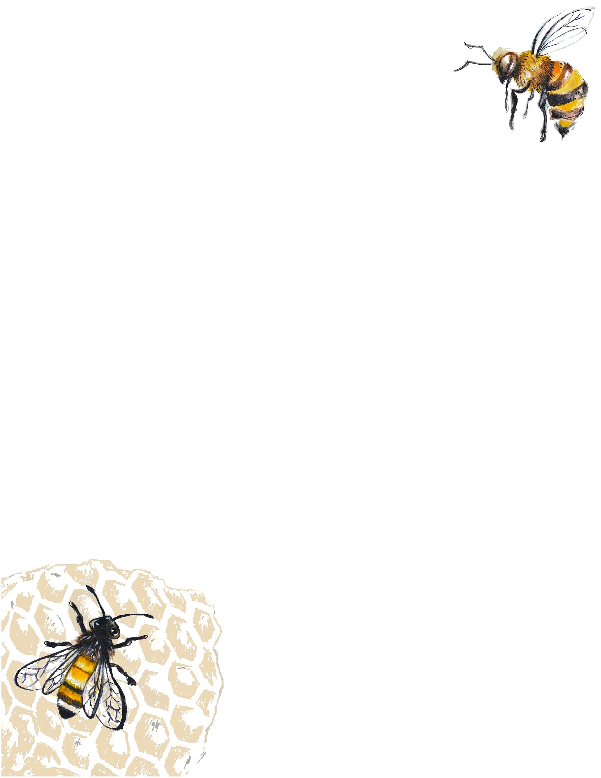 Bee Printable Stationary A4 Stationary Digital Paper Instant | Etsy