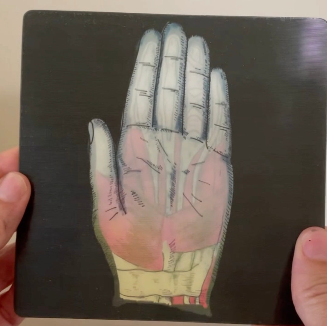 Lenticular Print: the Human Hand - Etsy