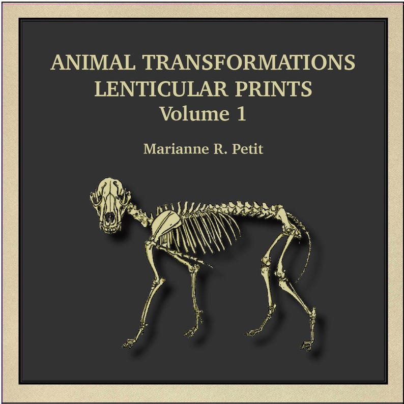 Animal Transformations: Lenticular Prints Vol. 1 - Etsy