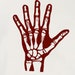 Anatomical Papercut: Hand - Etsy