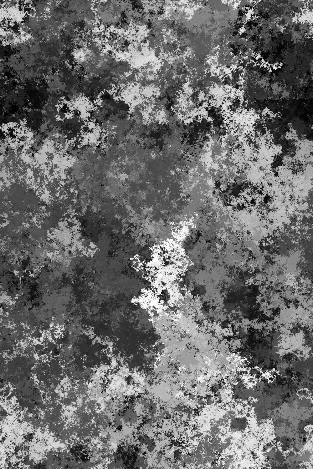 Random Walker Algorithm Art Print Poster Black and White gradual - Etsy