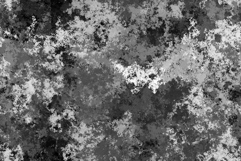 Random Walker Algorithm Art Print Poster - Black and White (gradual) - Etsy