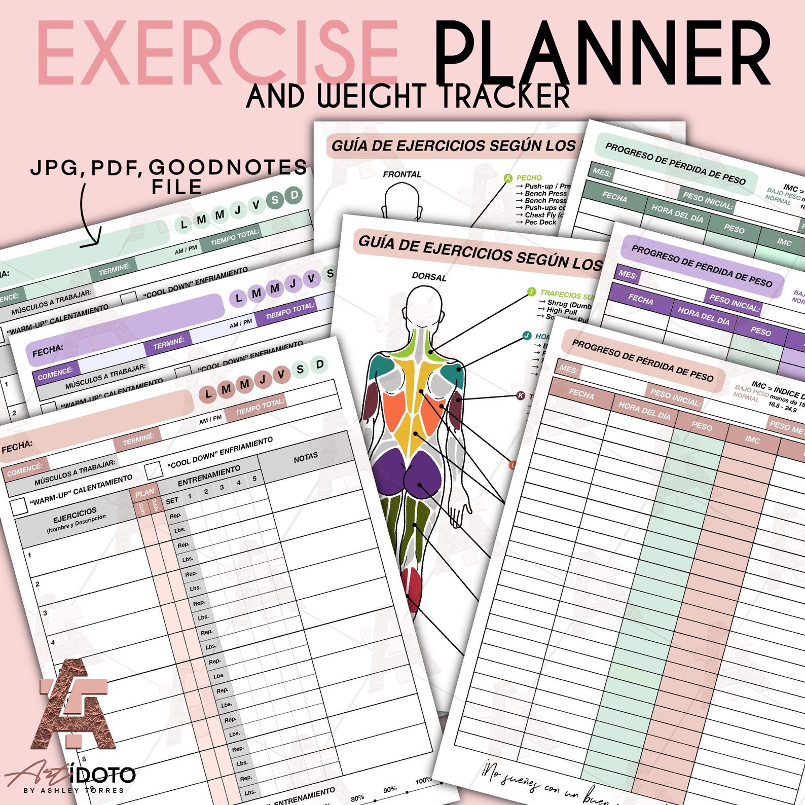 Daily Exercise Planner - Planificador De Rutinas Diarias De Ejercicio ...