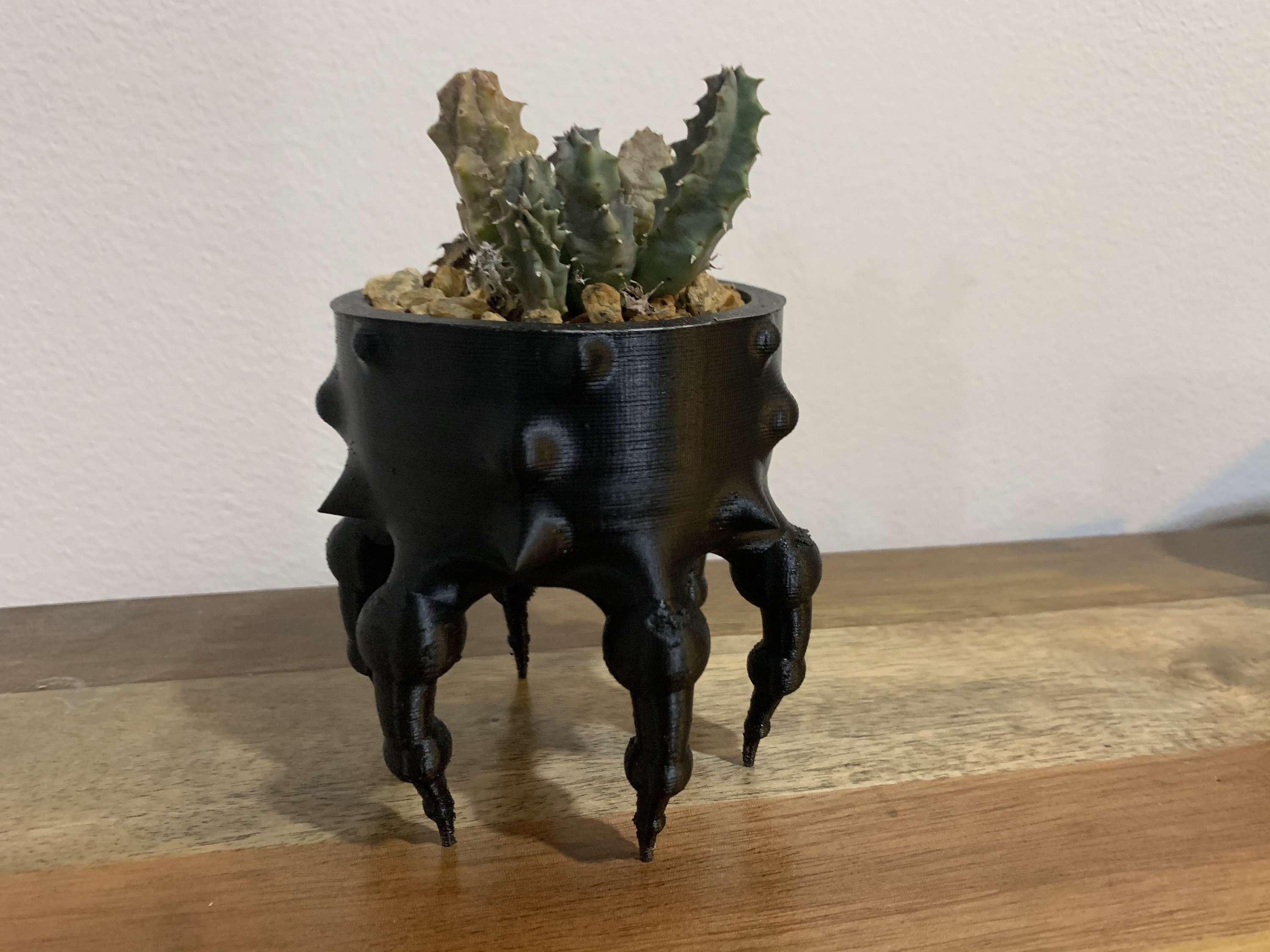 Black Creature Succulent Cactus Planter 3D Printed Small | Etsy