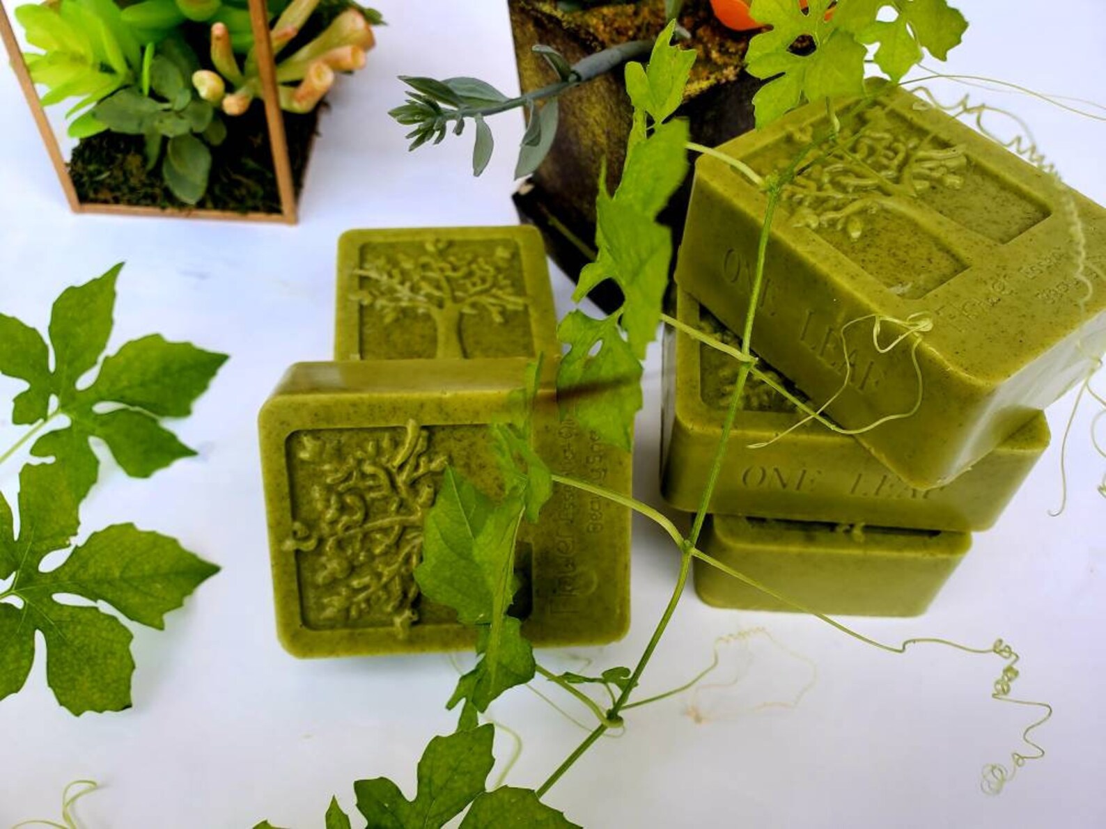 Cerasee Haitian Asosi Soap - Etsy
