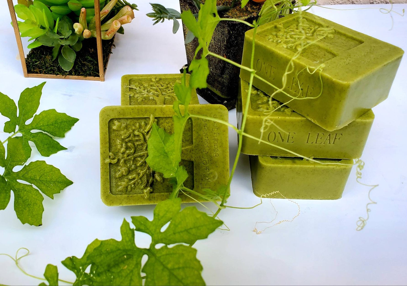 Cerasee Haitian Asosi Soap - Etsy