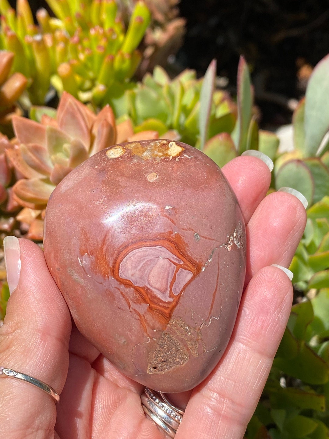 Pink Rose Polychrome Desert Jasper Palmstone Galet Rock Collection ...