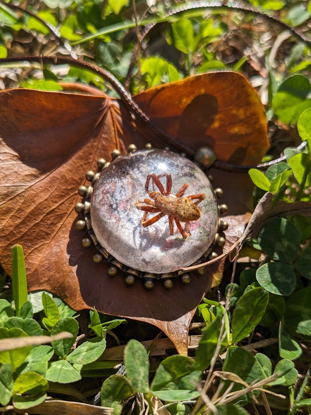 Real Spider in High Gloss Resin Pendant Necklace - Etsy