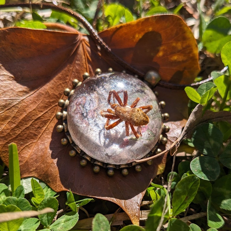 Spider Jewelry - Etsy