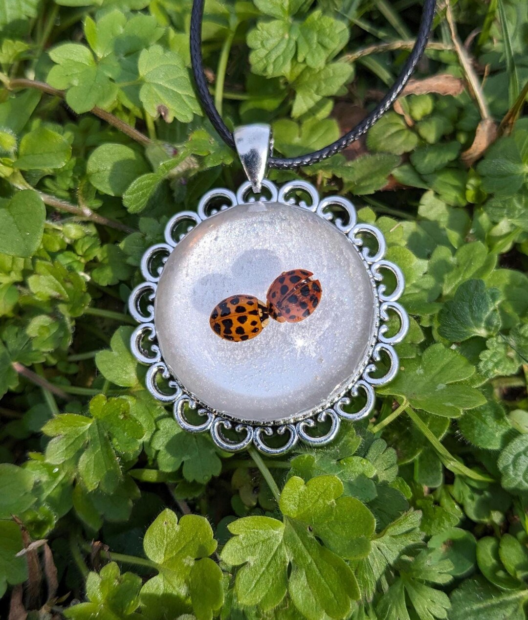 Real Ladybug Preserved in High Gloss Resin in Silver Bezel Pendant. - Etsy