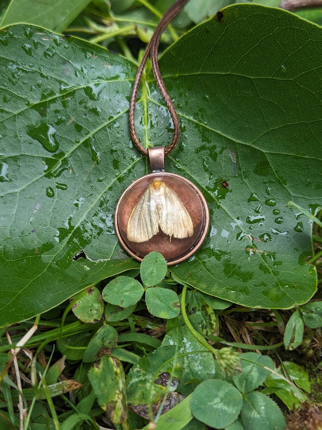 Real Moth in Resin Pendant Necklace - Etsy