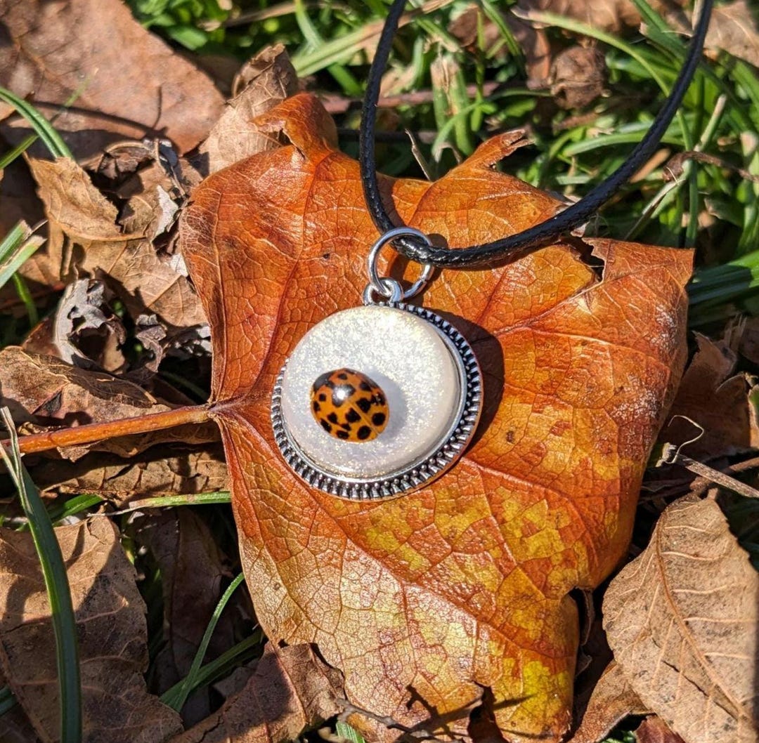 Real Ladybug Preserved in High Gloss Resin in Silver Bezel Pendant. - Etsy