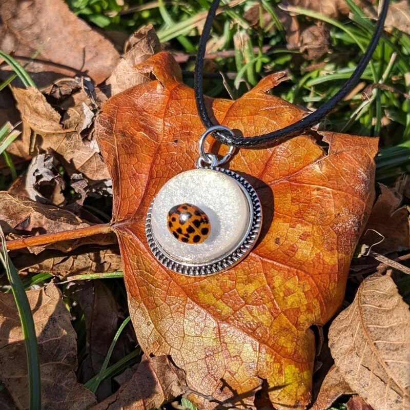 Ladybug Jewelry - Etsy