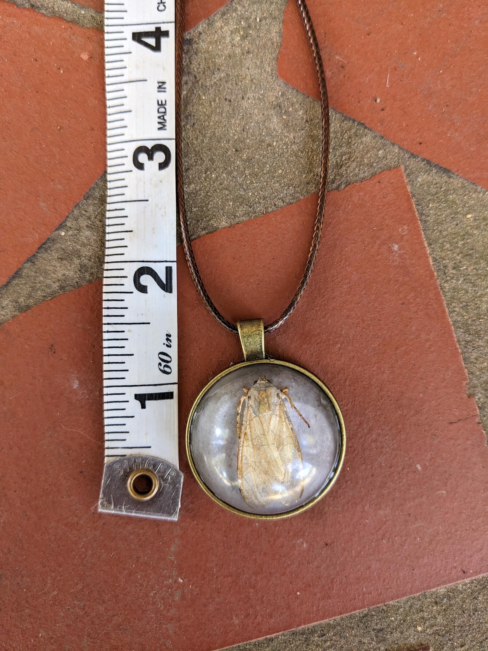 Real Cream Colored Moth in High Gloss Resin in a Bronze Bezel Pendant ...