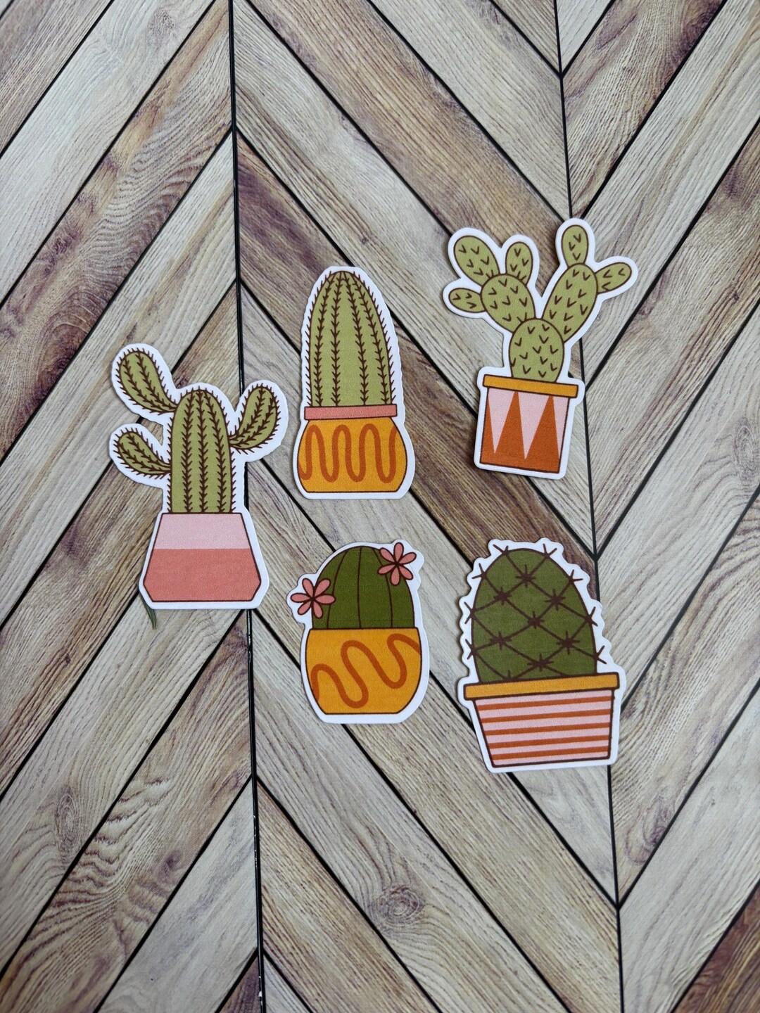 Cactus Sticker Set! 5 Assorted Cacti in Pots - Etsy