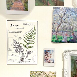 Fern Study Print Botanical Illustration Watercolour Art Print Nature ...