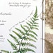 Fern Study Print Botanical Illustration Watercolour Art - Etsy