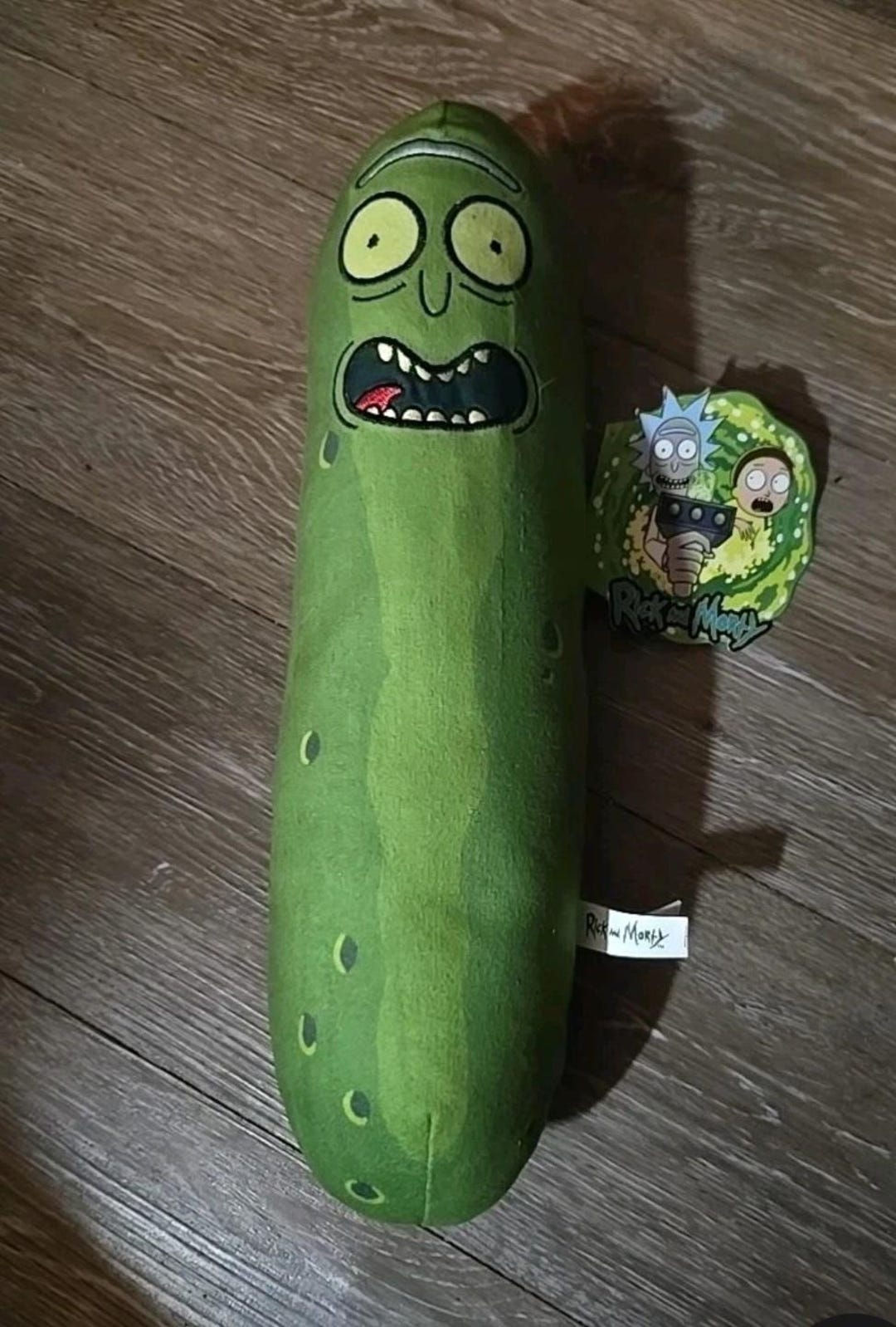 Pickle Rick Plush 13 Inch - Rick and Morty With Tags - Adult Swim TV - Etsy