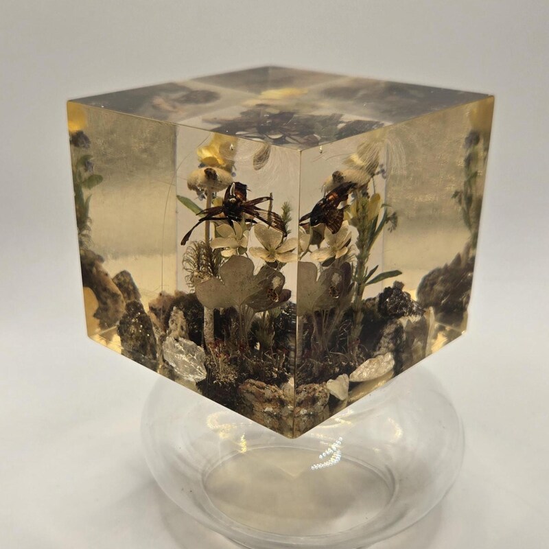 Lucite Cube - Etsy