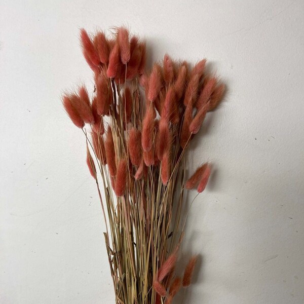 Bunny Tails - Etsy Canada