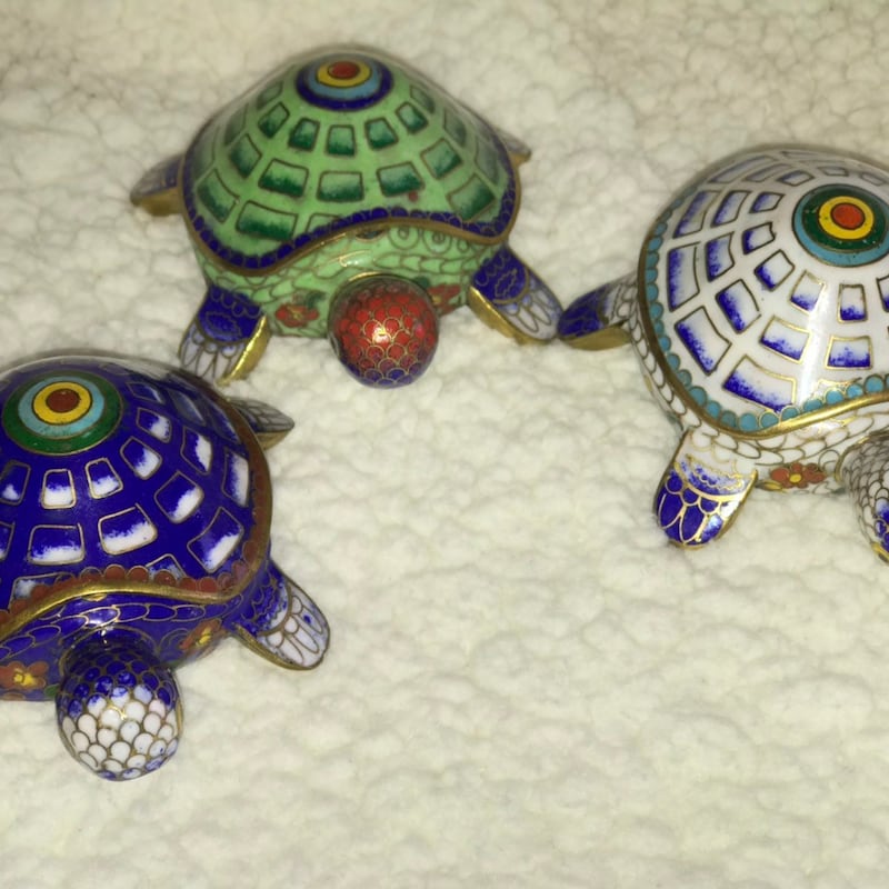 Turtle Trinket Box - Etsy