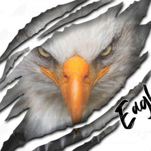 Eagles School Spirit Team Mascot Eagle Claw Marks Tear - Etsy