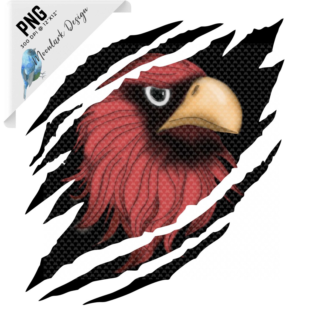 Cardinals PNG, School Spirit, Team Mascot, Cardinal Claw Marks, Tear ...