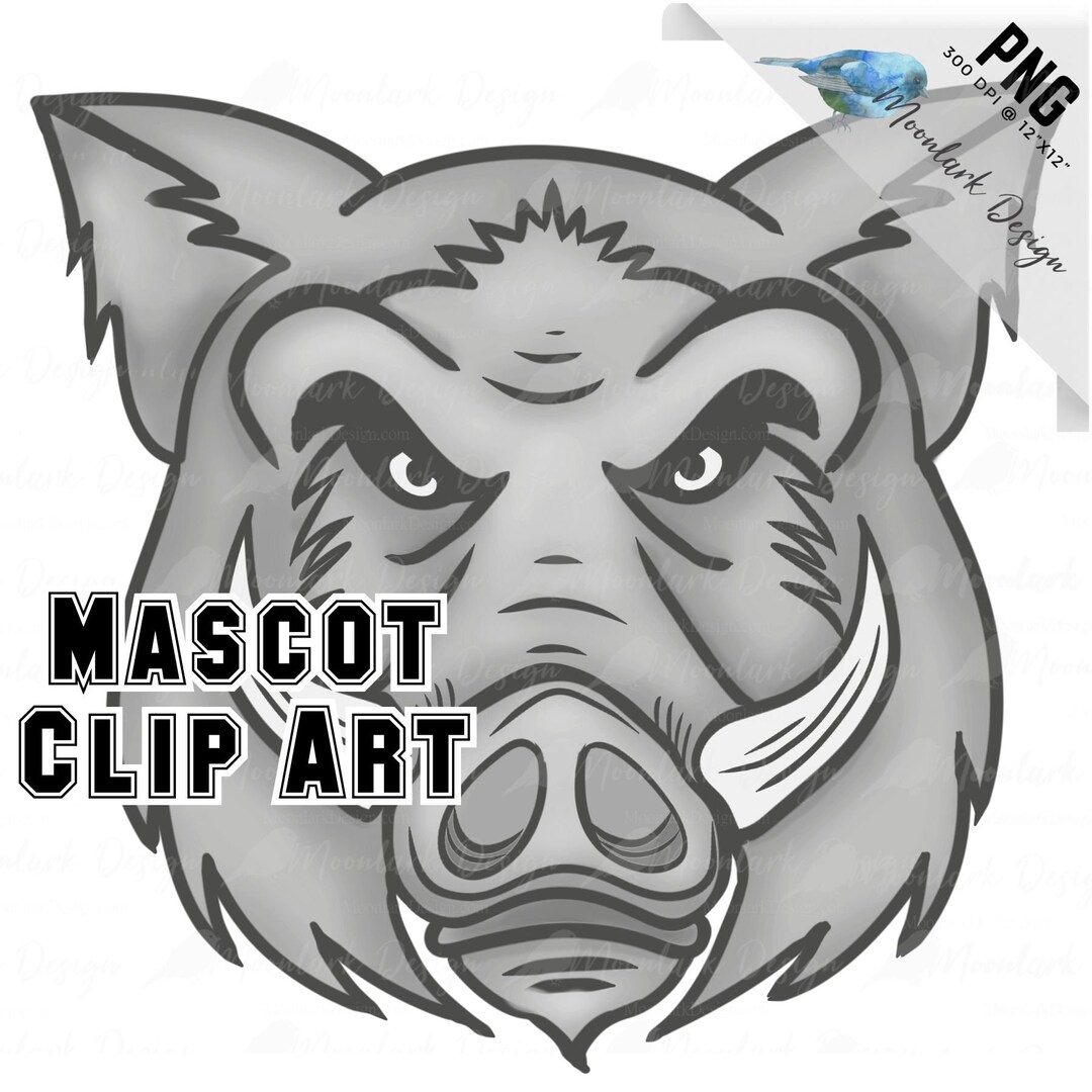 Wild Boar Mascot, Razorback Clip Art, Black and White, School Spirit ...