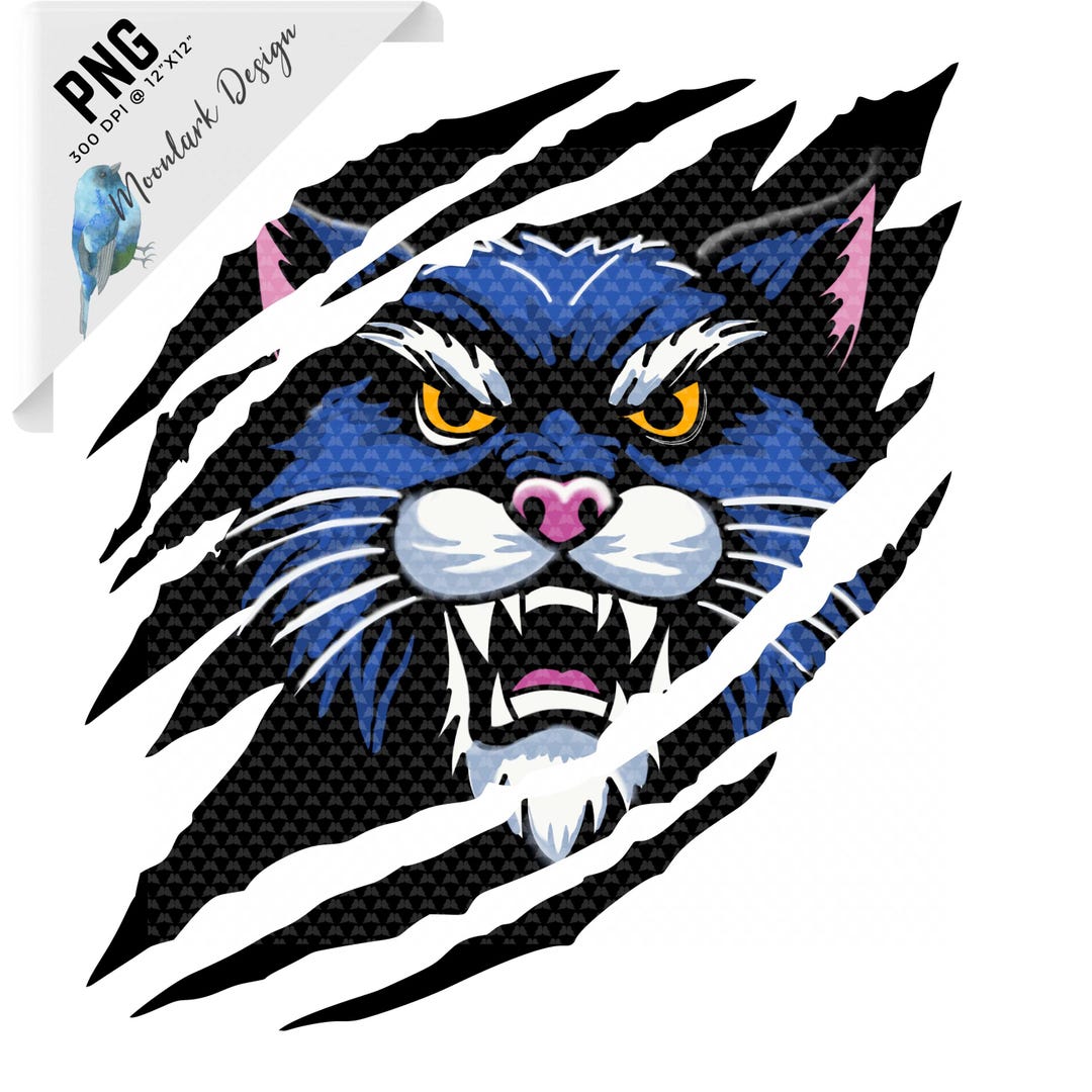 Wildcat PNG, School Spirit, Team Mascot, Wildcats Claw Marks, Wildcat ...