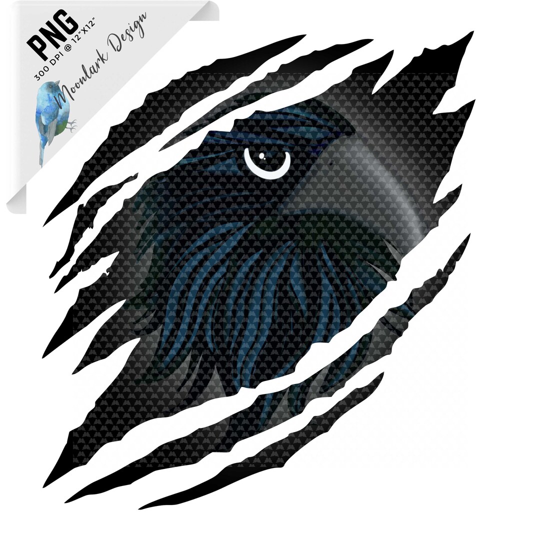 Ravens PNG, School Spirit, Team Mascot, Ravens Claw Marks, Ravens ...