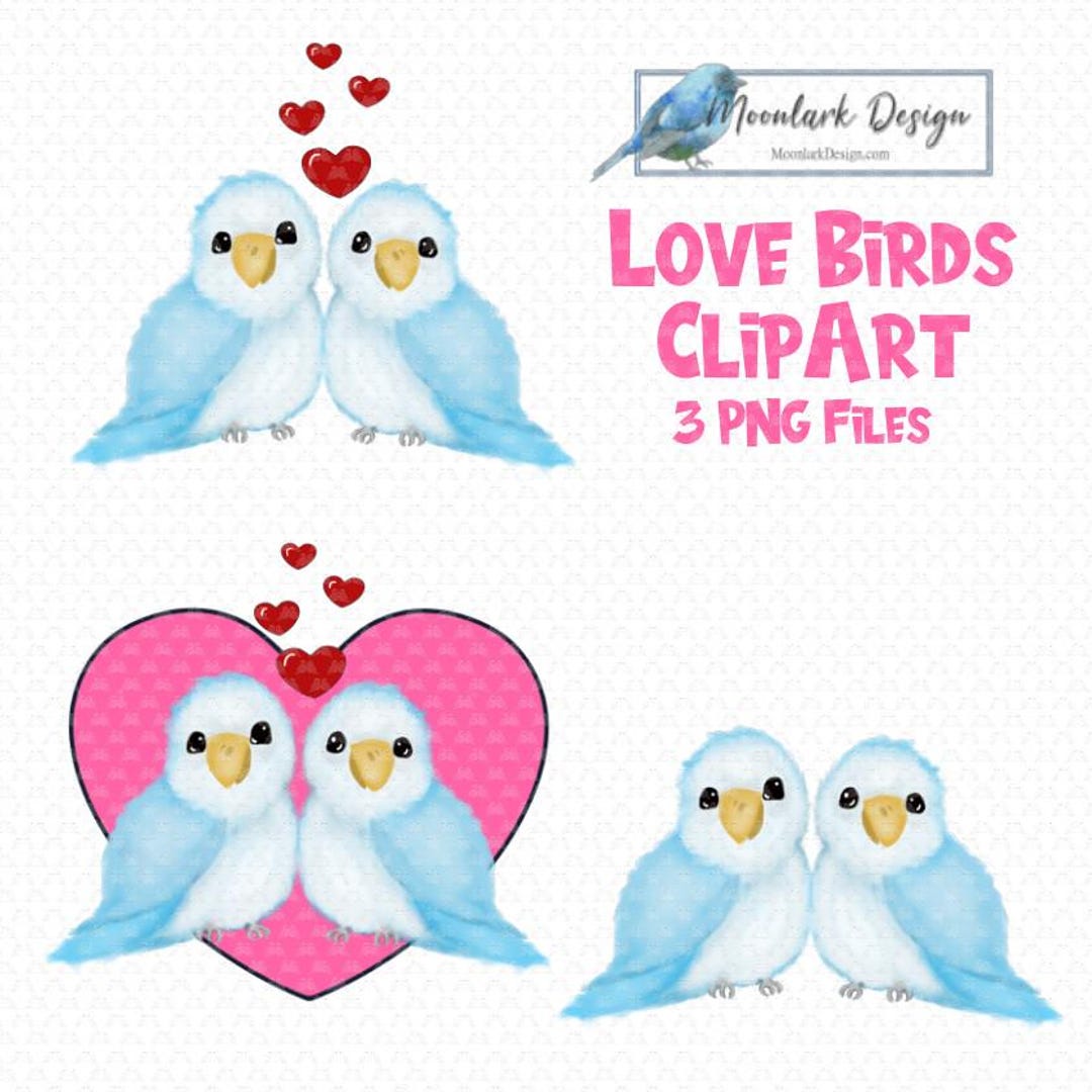 Love Birds Clip Art, Valentines Day PNG, Cute Birds, Commercial Use ...