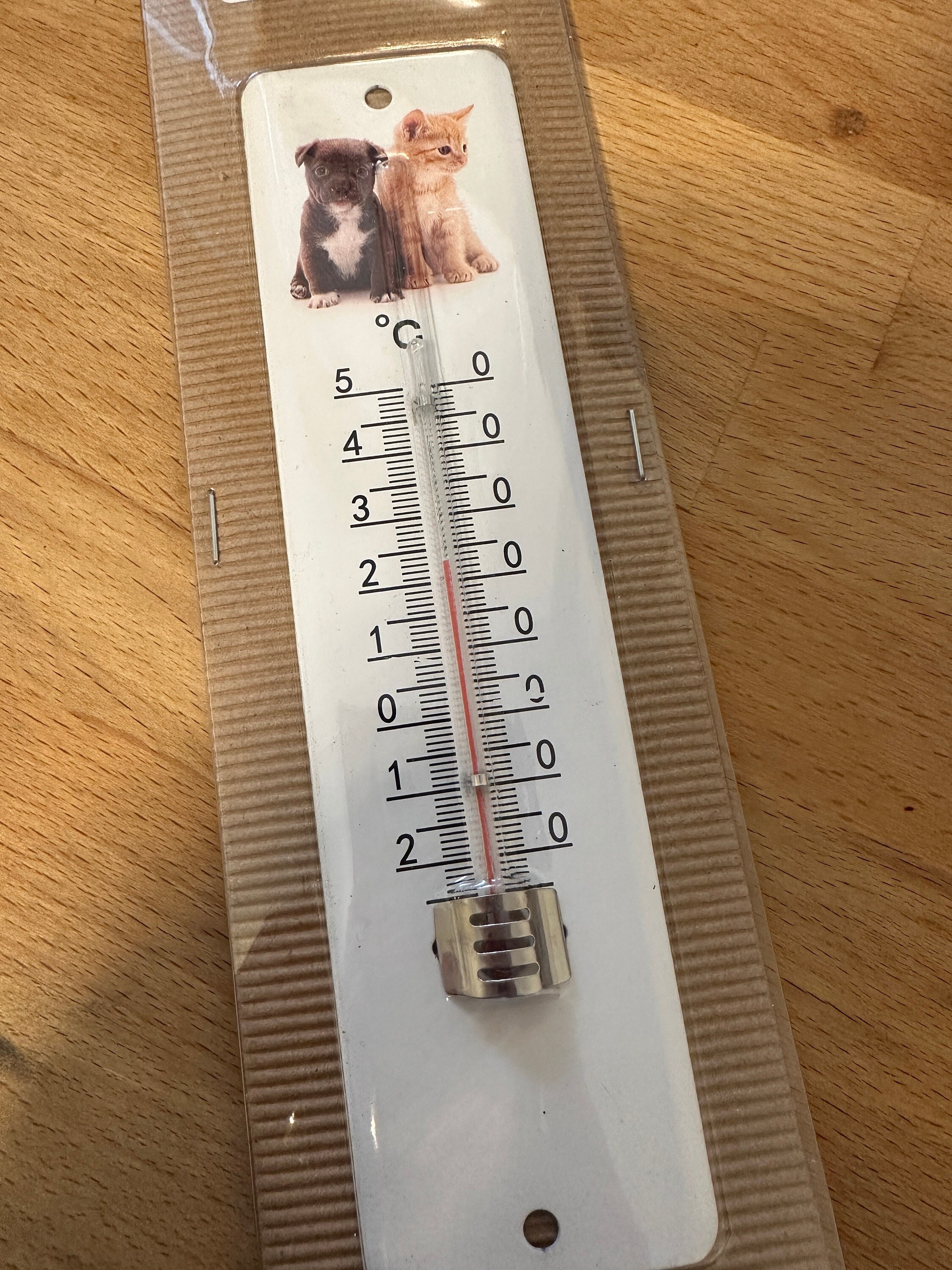 Enamel Garden Thermometer Celsius Kitten & Puppy (cat Dog) - Etsy