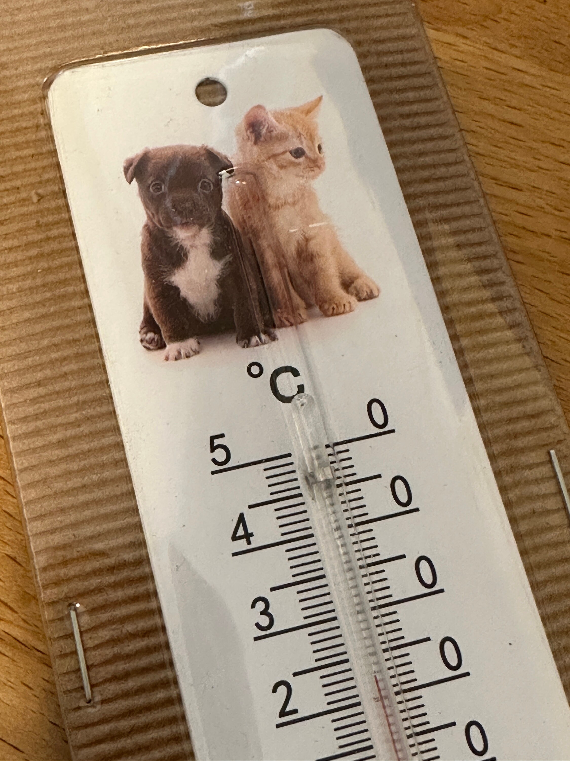Enamel Garden Thermometer Celsius Kitten & Puppy (cat Dog) - Etsy