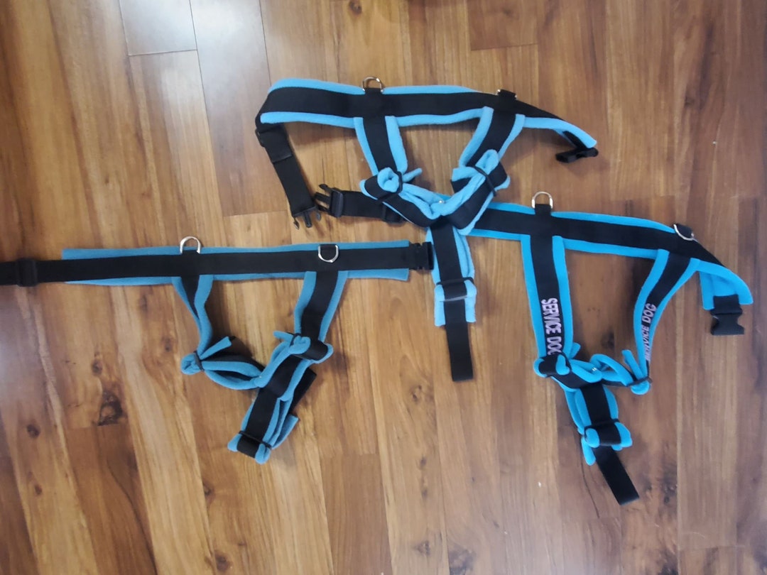 Y-front Dog Harness - Etsy