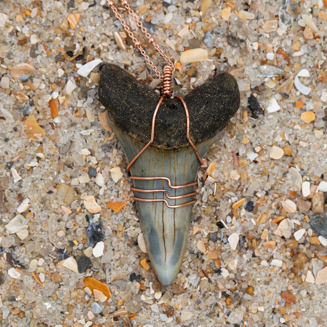 Shark Tooth Necklace Authentic Mako Tooth W/ Rose Gold Wave Wrap & 18 ...