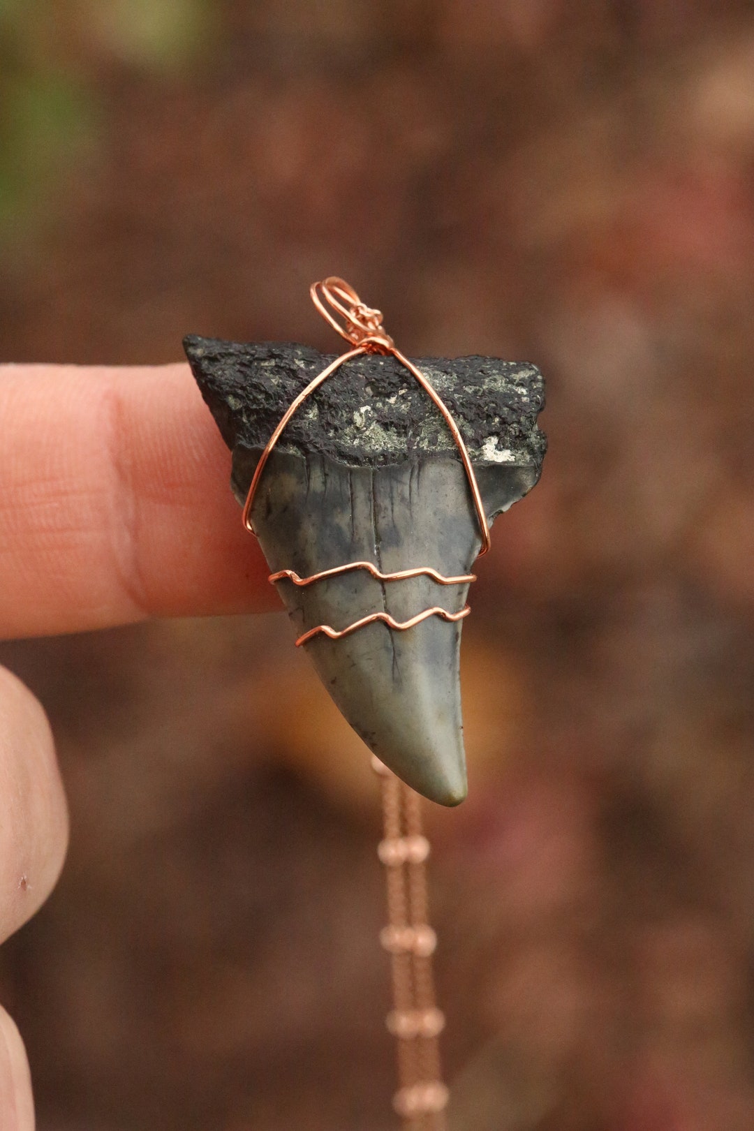 Shark Tooth Necklace W/ Rose Gold Wave Wrap & Satellite Chain - Etsy