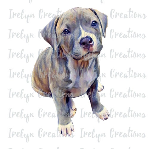 Pitbull Png Pitbull Dog Svg Watercolor Sublimation Digital - Etsy