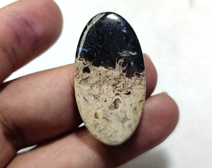 29 Ct Natural Indonesian Palm Root Cabochon.. Fossilized Palm Root ...