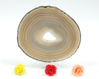 Large agate slice | Etsy