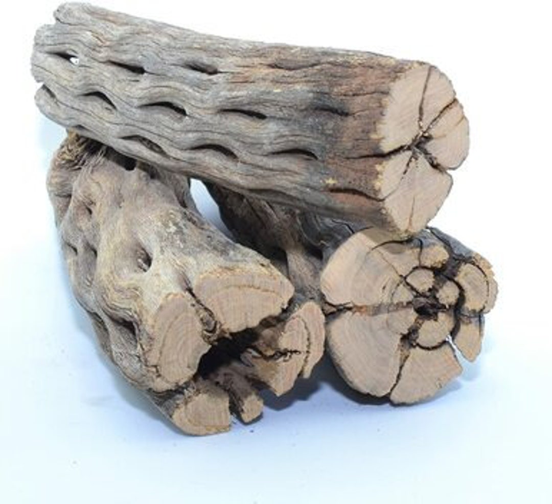 Large Cholla Wood - Etsy