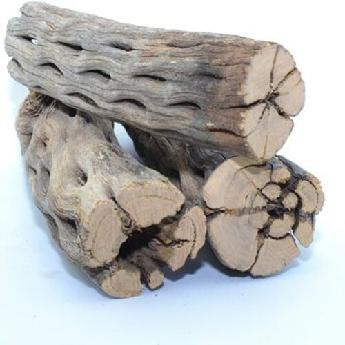 BUY 2 GET 1 FREE Cholla Wood Sticks Cholla Drift Wood - Etsy