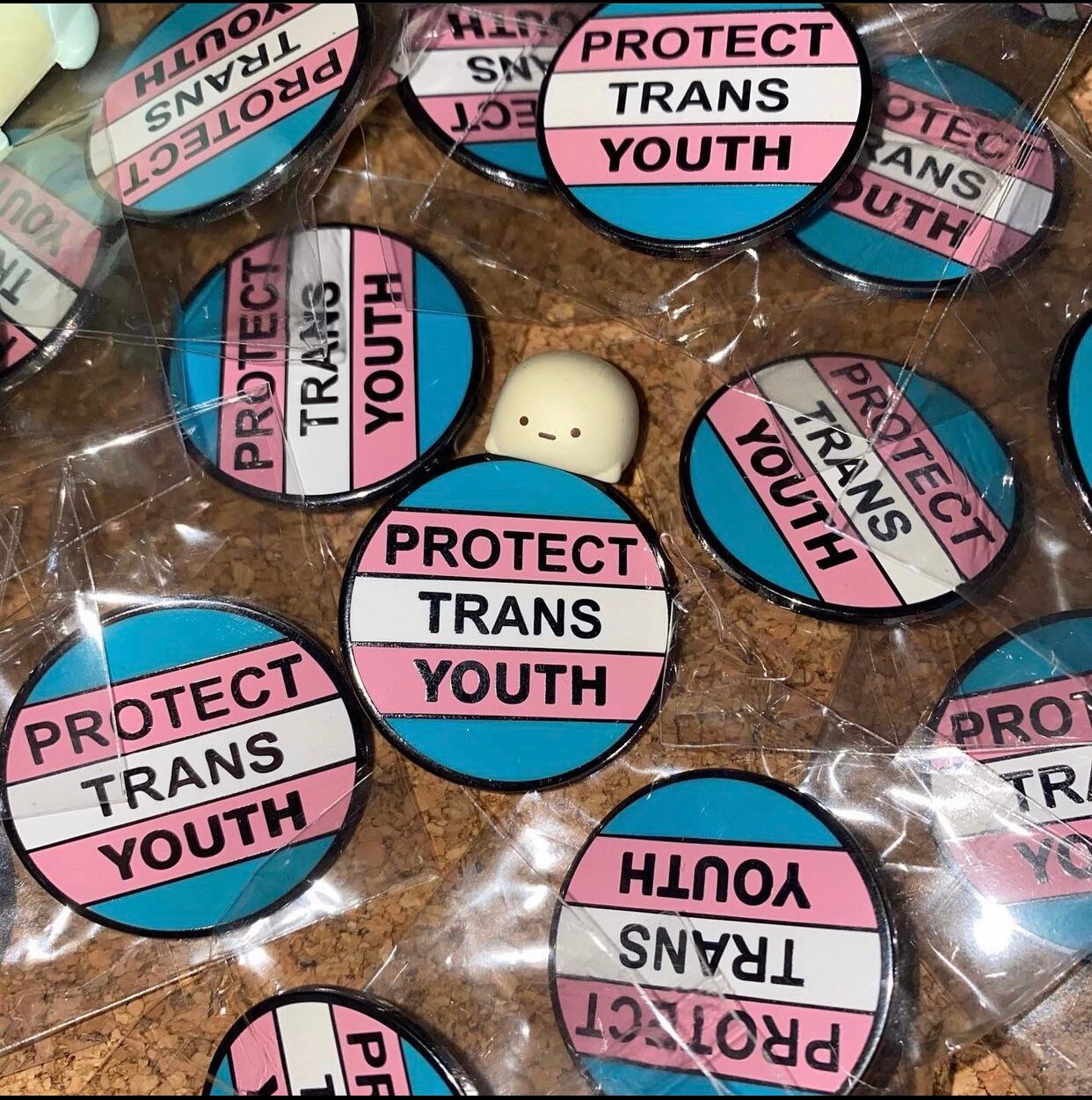Protect Trans Youth Hard Enamel Pin - Etsy