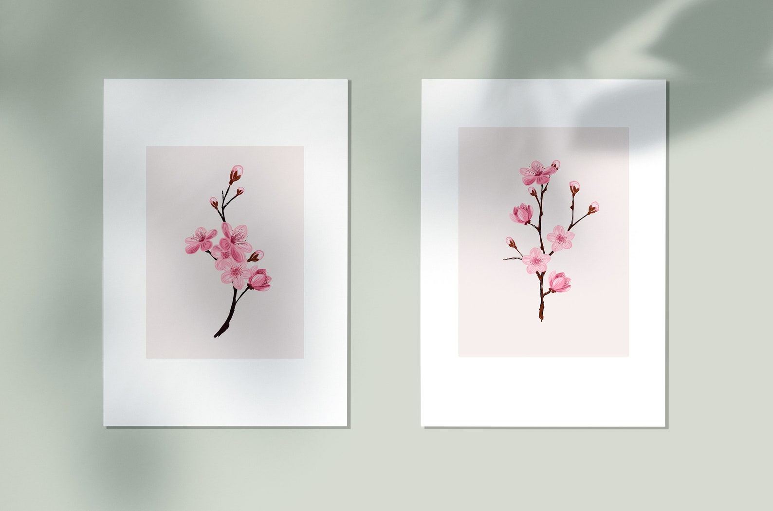 Cherry Blossom Flower Png Graphic Illustration Clip Art Botanical ...