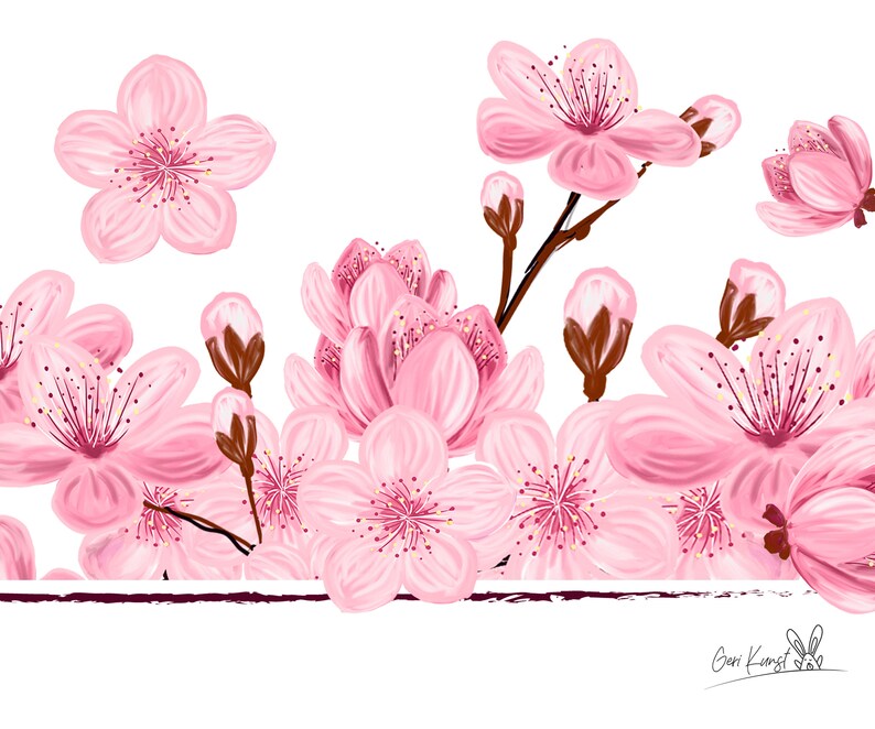 Cherry Blossom Flower Png Graphic Illustration Clip Art Botanical ...