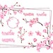 Cherry Blossom Flower Png Graphic Illustration Clip Art Botanical ...