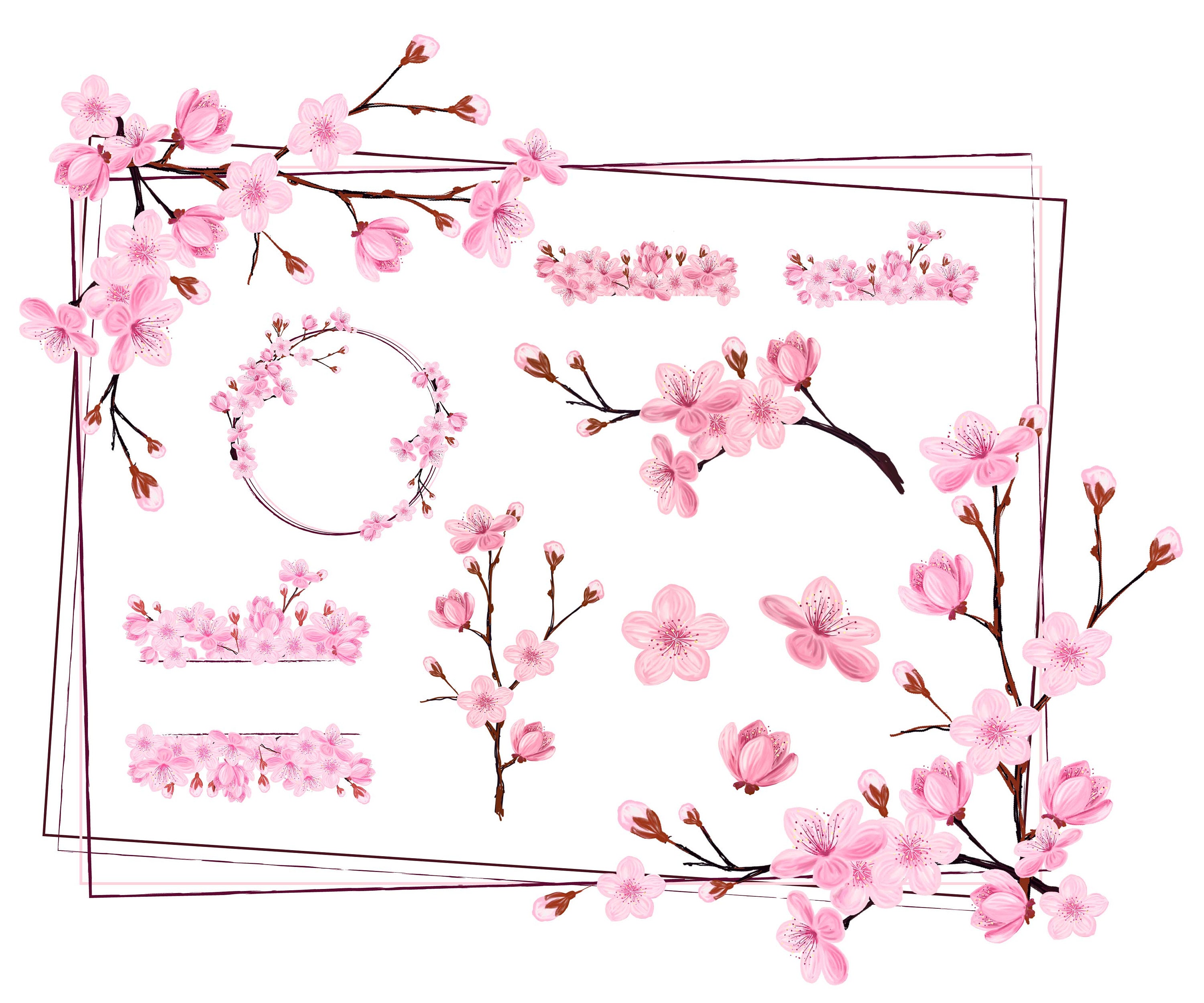 Cherry Blossom Flower Png Graphic Illustration Clip Art Botanical ...