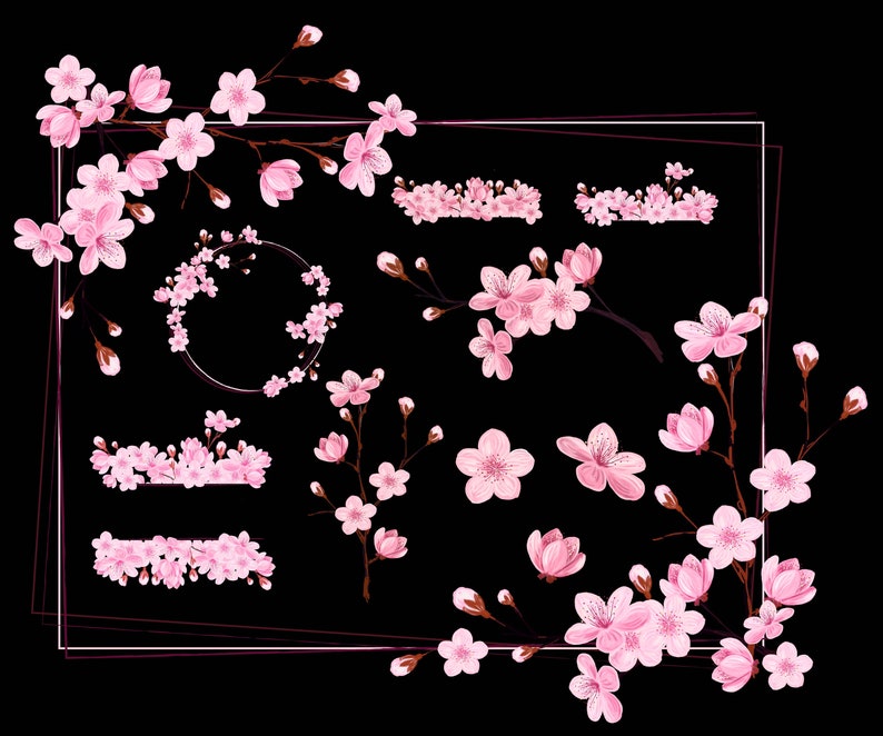 Cherry Blossom Flower Png Graphic Illustration Clip Art Botanical ...