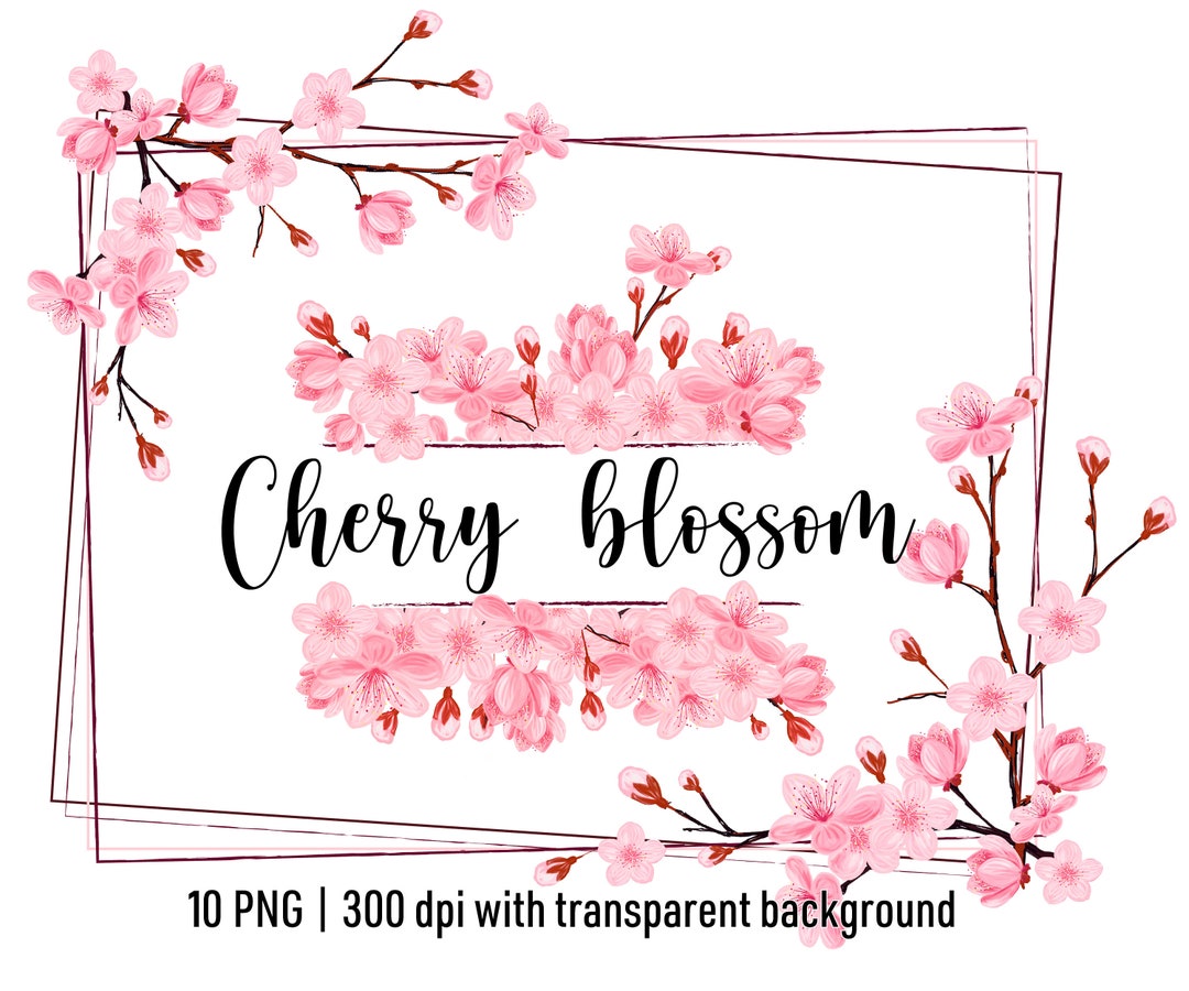 Cherry Blossom Flower Png Graphic Illustration Clip Art Botanical ...